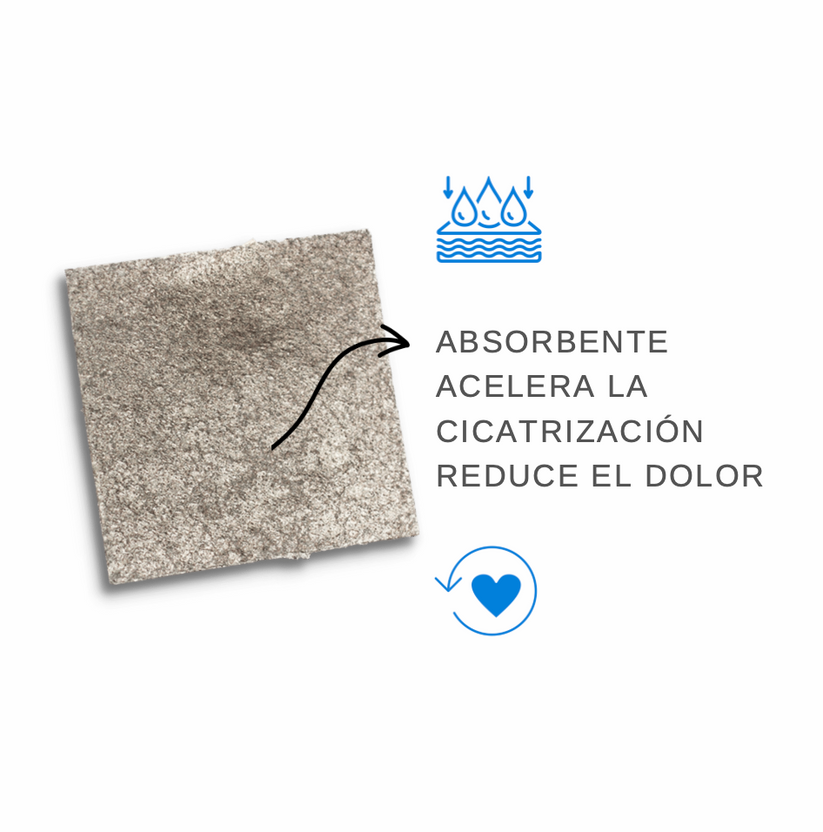 Covalon | ColActive® Plus Ag | 5 en 1: Apósito de Matriz de Colágeno ...